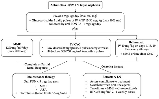 Lupus Nephritis in Children: Novel Perspectives