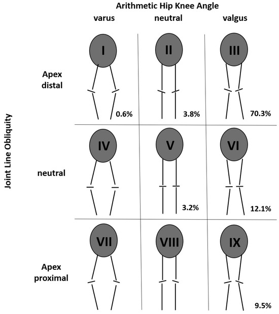 Individual Phenotype Does Not Impact the Outcome of Mechanical Aligned ...