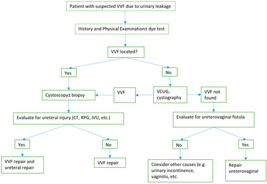 Vesicovaginal Fistulas: Prevalence, Impact, and Management Challenges