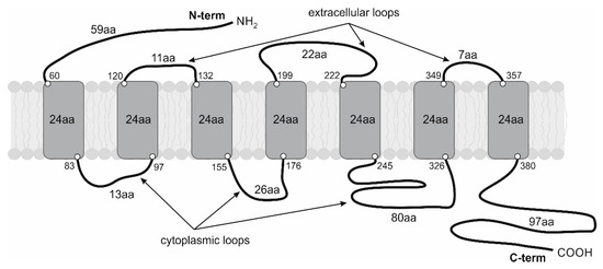 Associations between Selected ADRB1 and CYP2D6 Gene Polymorphisms in ...