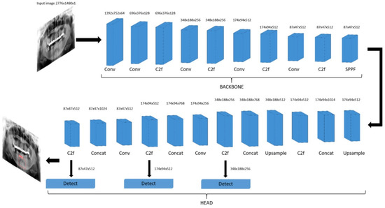 Detection and Segmentation of Radiolucent Lesions in the Lower Jaw on ...