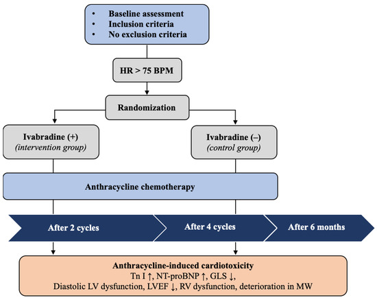 Ivabradine for the Prevention of Anthracycline-Induced Cardiotoxicity ...