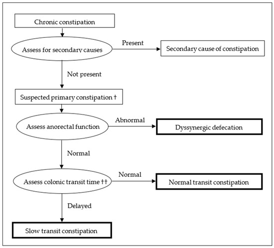 Idiopathic Slow Transit Constipation: Pathophysiology, Diagnosis, and ...