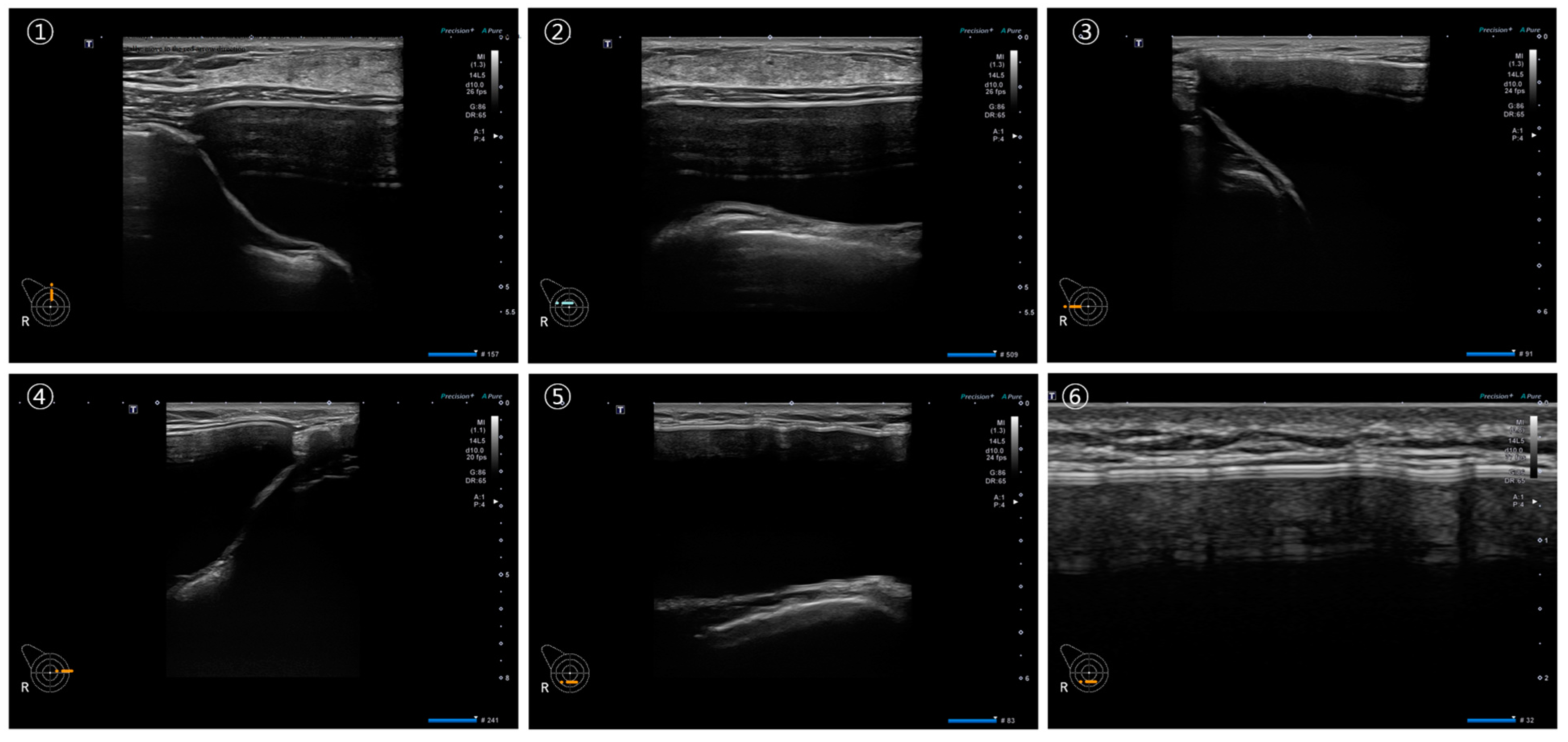 Medicina | Free Full-Text | Exploration of Point-of-Care ...