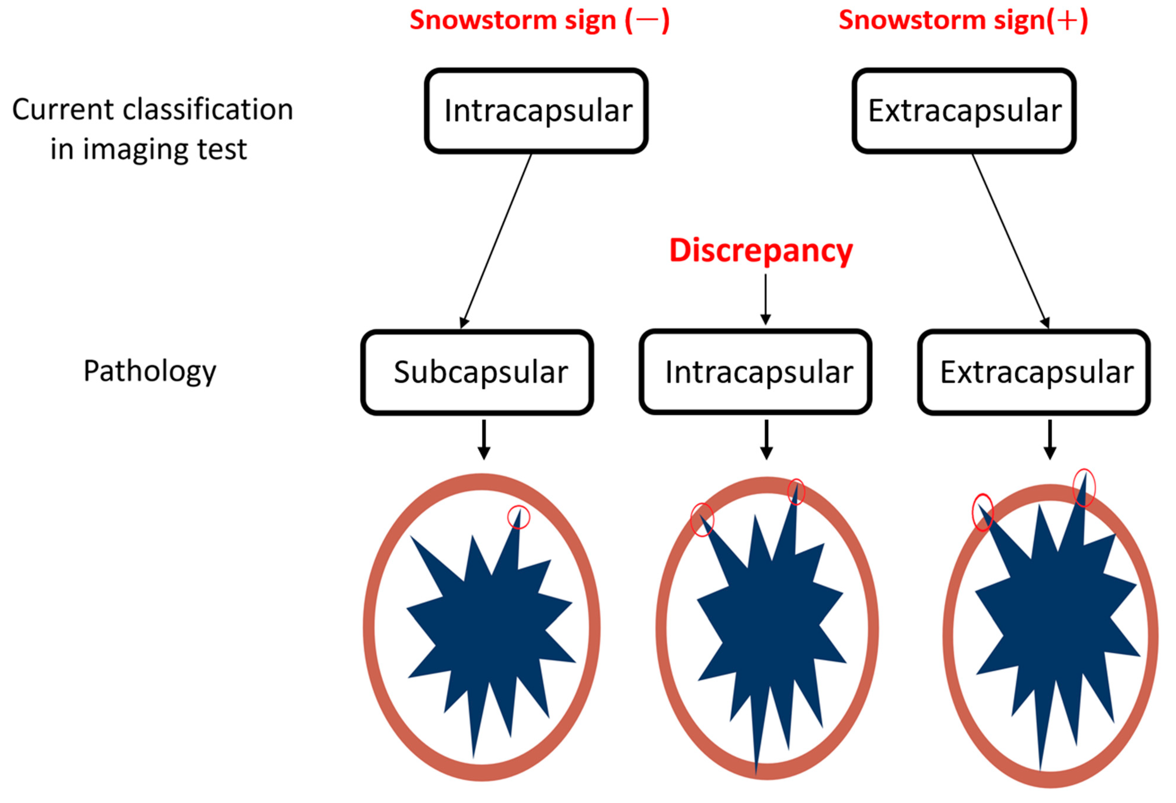 Exploration of Point-of-Care Ultrasonography for Silicone Breast ...