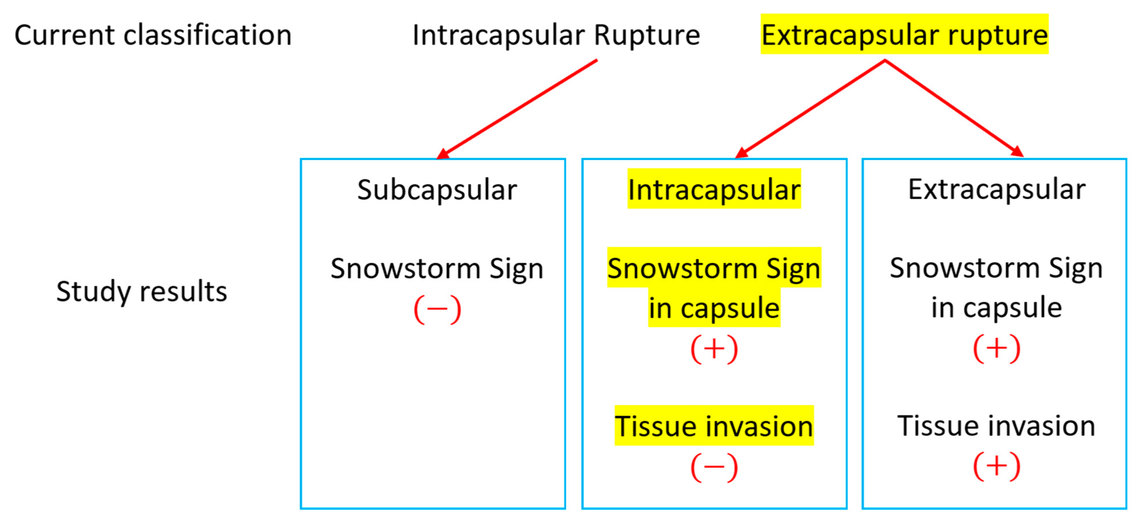 Exploration of Point-of-Care Ultrasonography for Silicone Breast ...
