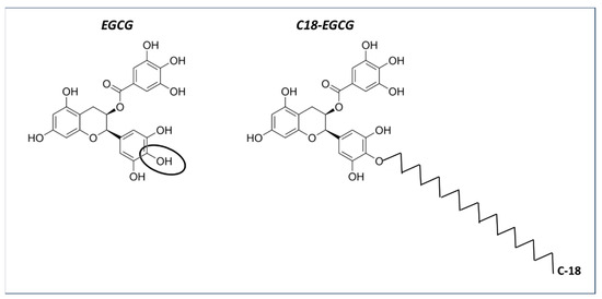 Options for Topical Treatment of Oxidative Eye Diseases with a Special ...
