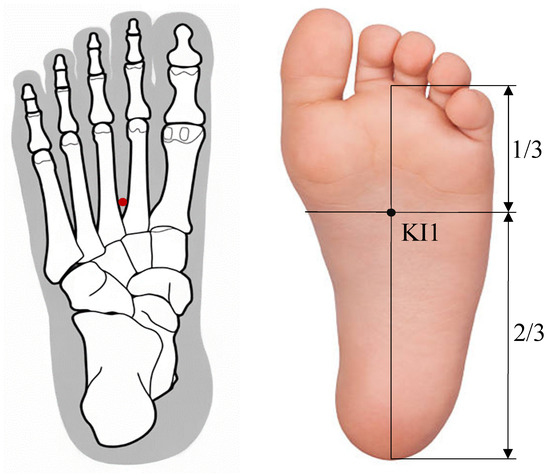 Acupressure points on feet store