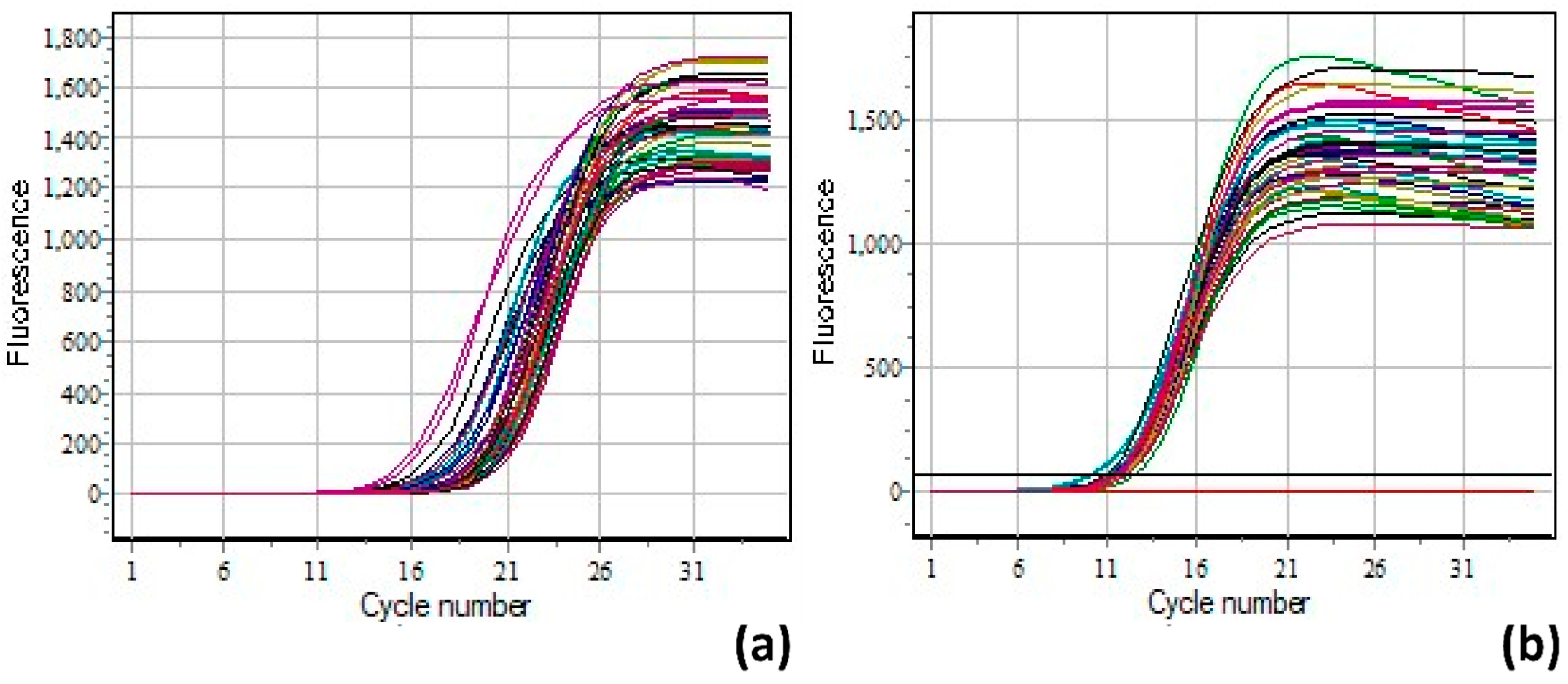 Medicina | Free Full-Text | Effects of Age and Biological Age-Determining Factors on Telomere ...