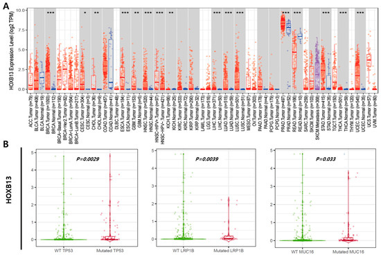 A Comprehensive Analysis of HOXB13 Expression in Hepatocellular Carcinoma