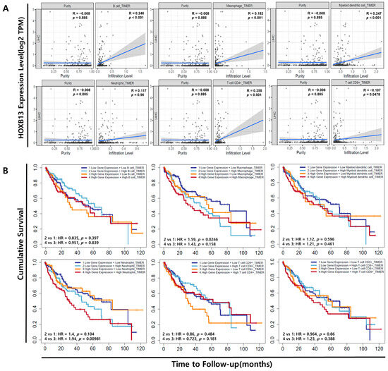 A Comprehensive Analysis of HOXB13 Expression in Hepatocellular Carcinoma