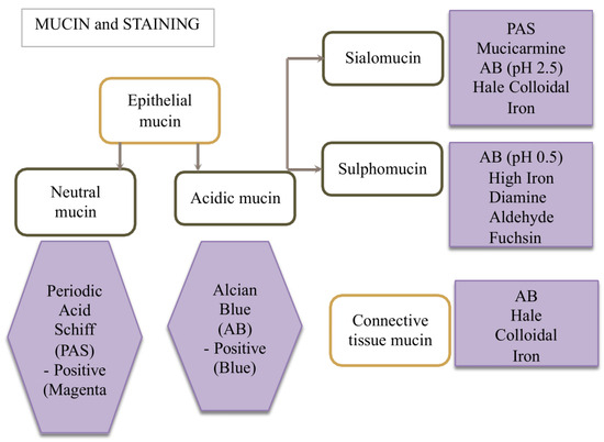 Differential Expression of Mucin in Salivary Gland Tumours