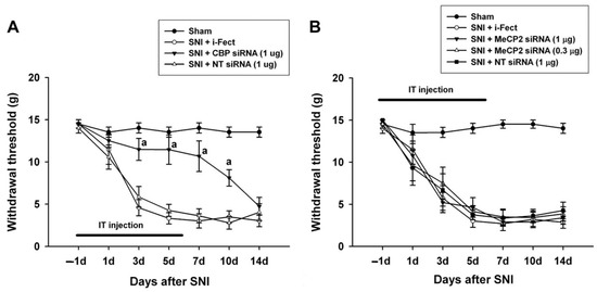 CBP Expression Contributes to Neuropathic Pain via CREB and MeCP2 ...