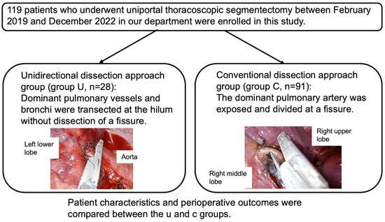 Feasibility and Safety of Uniportal Thoracoscopic Segmentectomy Using a Unidirectional ...