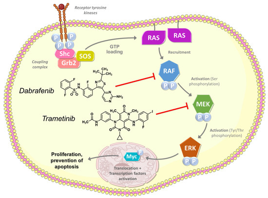 Medicina | Free Full-Text | Clinical Pharmacy Initiatives Contribute to the Excellent Efficacy ...