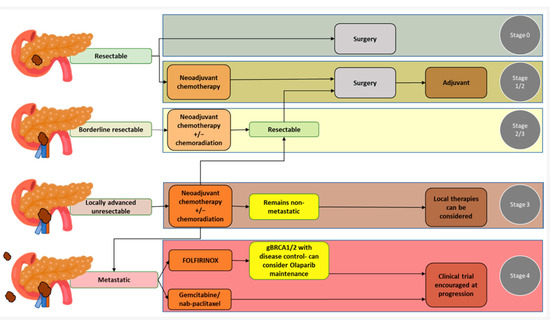 New Frontiers in Pancreatic Cancer Management: Current Treatment ...