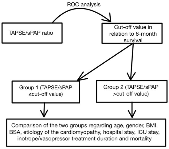 Tricuspid Annular Plane Systolic Excursion-to-Systolic Pulmonary Artery ...