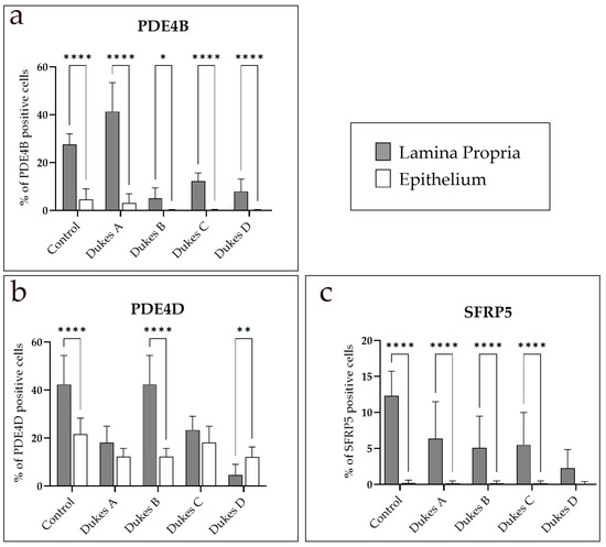 Expression Pattern of PDE4B, PDE4D, and SFRP5 Markers in Colorectal Cancer