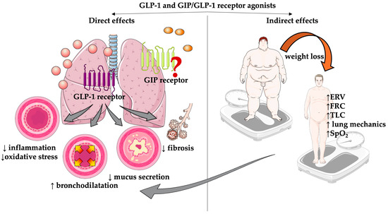 Potential Use of GLP-1 and GIP/GLP-1 Receptor Agonists for Respiratory ...