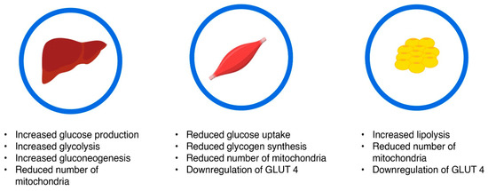 Interventions Targeting Insulin Resistance in Patients with Type 1 ...