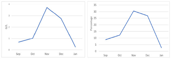 Cutaneous Anguillulosis During Immunotherapy for Metastatic Renal Cell ...