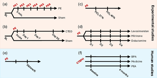 Pulmonary Artery Pulsatility Index in Acute and Chronic Pulmonary Embolism