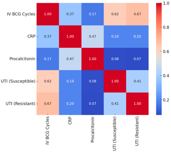 Intravesical BCG: A Double-Edged Sword? The Untold Story of Infection Risks