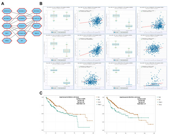 CBX1 as a Prognostic Biomarker and Therapeutic Target in Liver ...