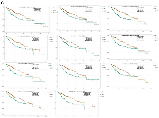 CBX1 as a Prognostic Biomarker and Therapeutic Target in Liver ...