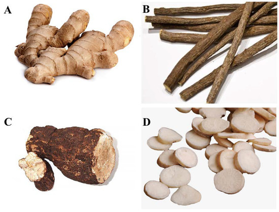 A Review of Evidence for a Therapeutic Application of Traditional ...