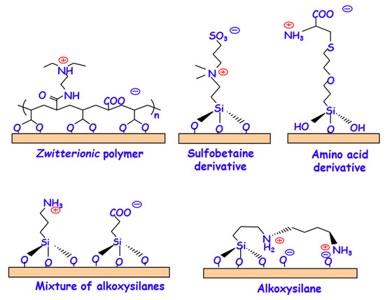 The Role of Zwitterionic Materials in the Fight against Proteins and Bacteria