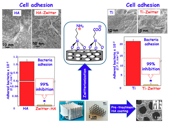 The Role of Zwitterionic Materials in the Fight against Proteins and ...