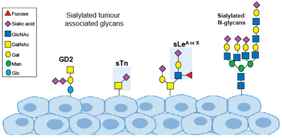 Targeting Aberrant Sialylation to Treat Cancer