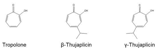 β-Thujaplicin Enhances TRAIL-Induced Apoptosis via the Dual Effects of ...