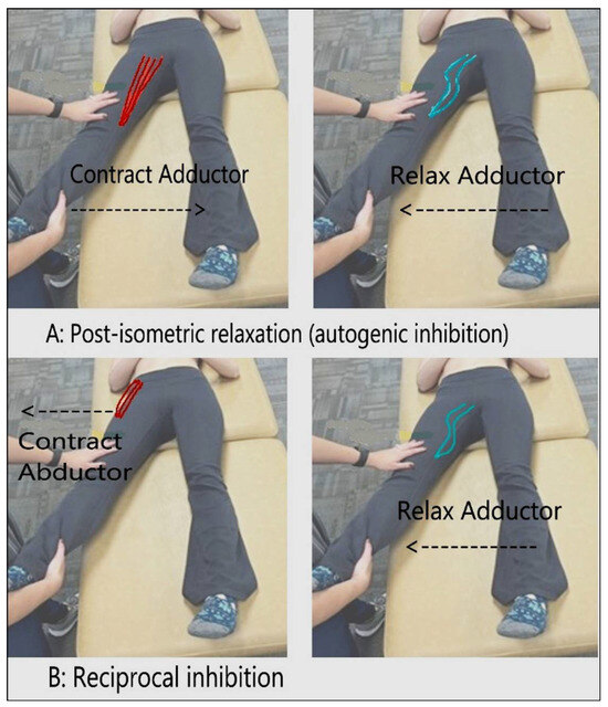 Osteopathic Manipulative Medicine: A Brief Review of the Hands-On ...