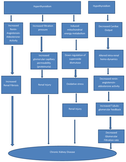 Spectrum of Thyroid Dysfunction in Patients with Chronic Kidney Disease ...