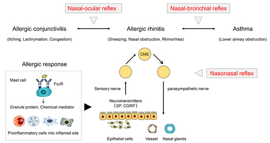 Medical Sciences | Special Issue : Allergic Rhinitis: Epidemiology ...