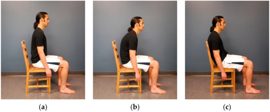 Reliability of the Soleus H-Reflex in Different Sitting Postures