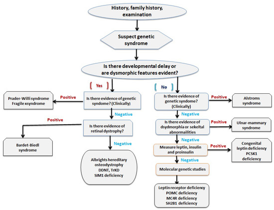 Barocrinology: The Endocrinology of Obesity from Bench to Bedside