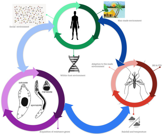 An Overview of Malaria Transmission Mechanisms, Control, and Modeling