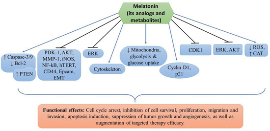 Melatonin as a Repurposed Drug for Melanoma Treatment