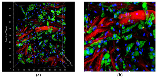 The LipoDerm Method for Regeneration and Reconstruction in Plastic ...
