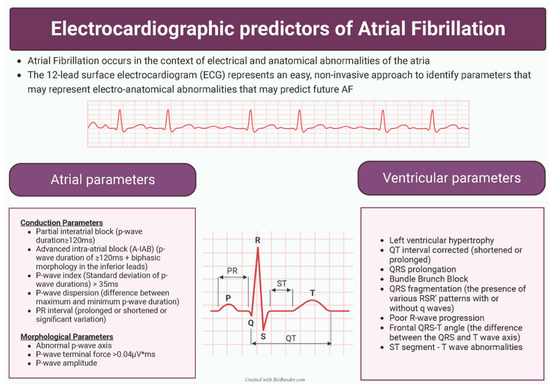Electrocardiographic Predictors of Atrial Fibrillation