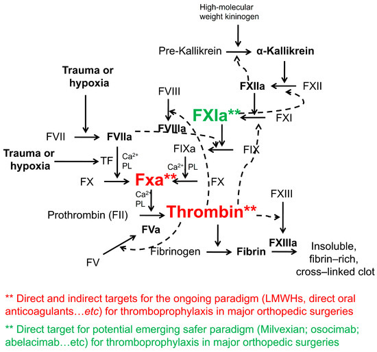 Venous Thromboembolism Prophylaxis in Major Orthopedic Surgeries and ...