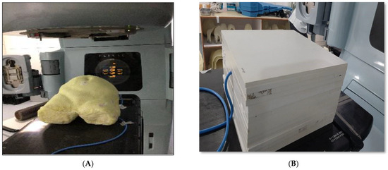 Development of an Anthropomorphic Heterogeneous Female Pelvic Phantom ...