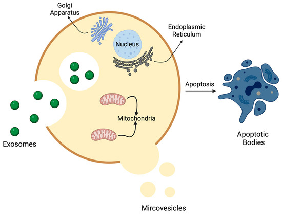 Extracellular Vesicles’ Role in Angiogenesis and Altering Angiogenic ...