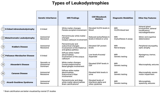 Leukodystrophy Imaging: Insights for Diagnostic Dilemmas