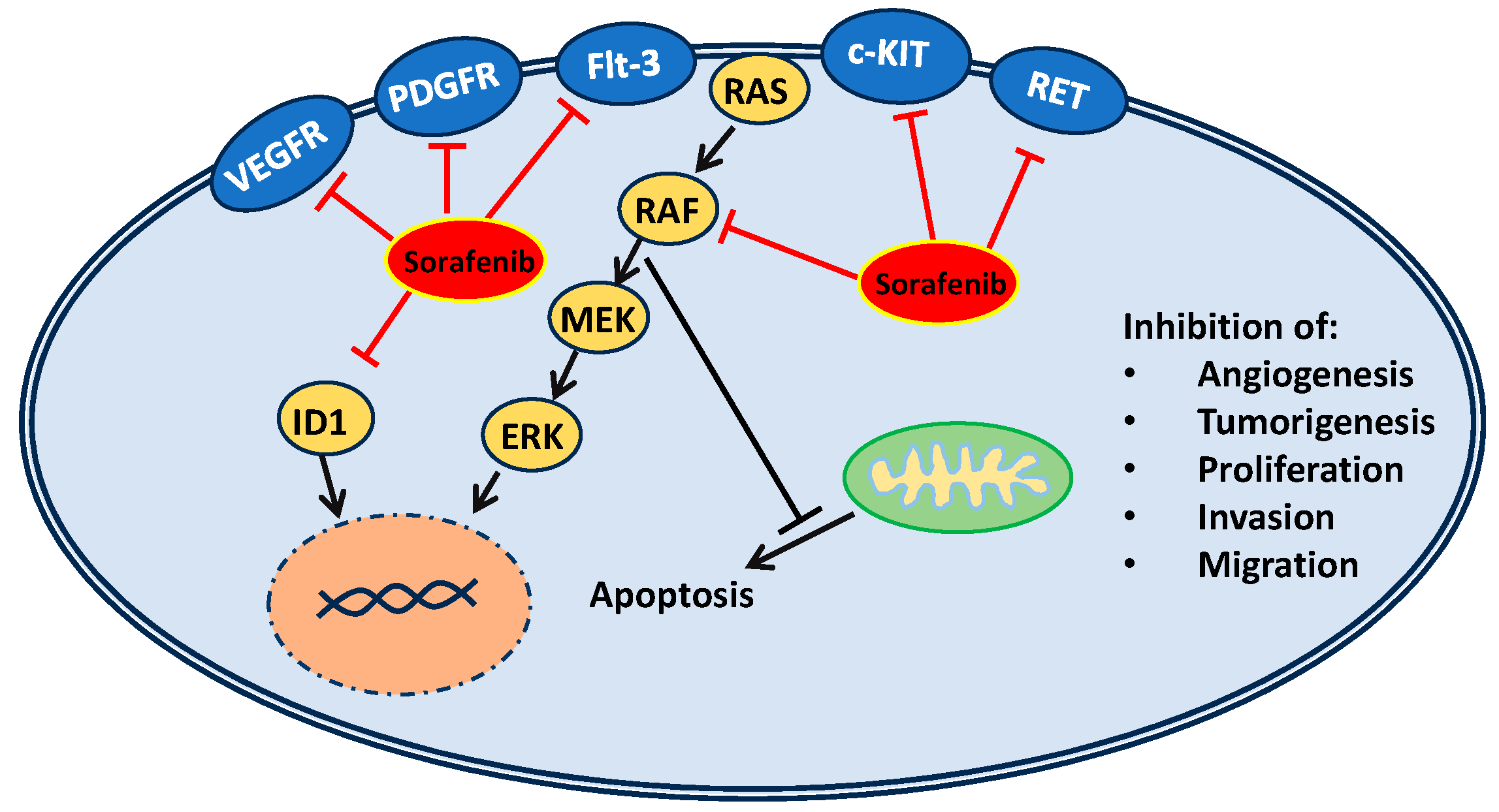 Efficacy of Sorafenib-Based Therapies for Non-Small Cell Lung Cancer Efficacy of Sorafenib-Based Therapies for Non-Small Cell Lung Cancer