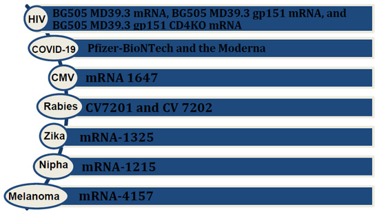 Medical Sciences | Free Full-Text | Prospects and Challenges in Developing mRNA Vaccines for ...