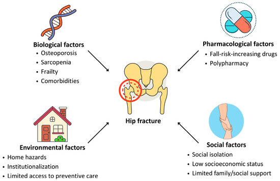 Hip Fracture as a Systemic Disease in Older Adults: A Narrative Review ...